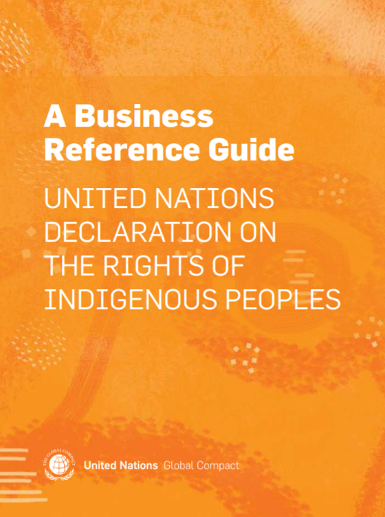 A Business Reference Guide – The Implementation Project