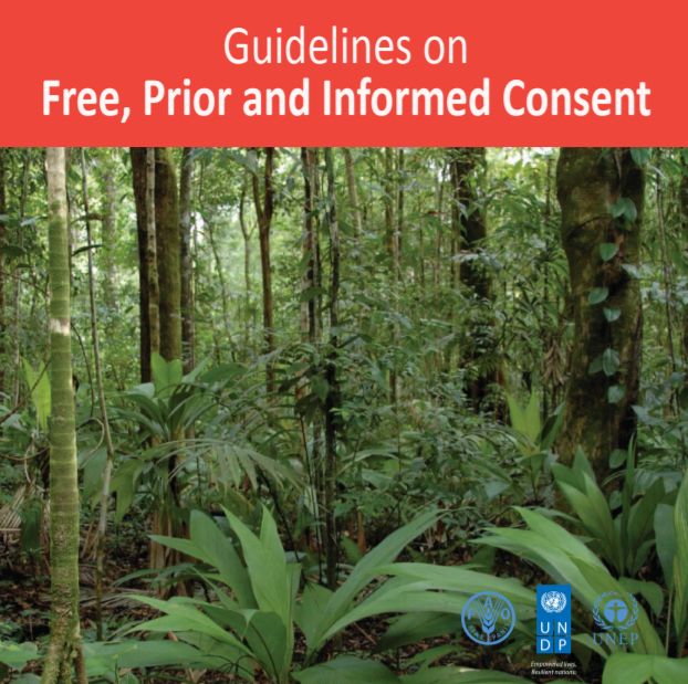 Guidelines on Free, Prior and Informed Consent (UN-REDD) – The ...