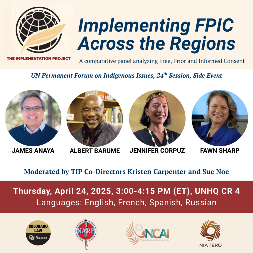 The Implementation Project – Achieving the Aims of the UN Declaration ...