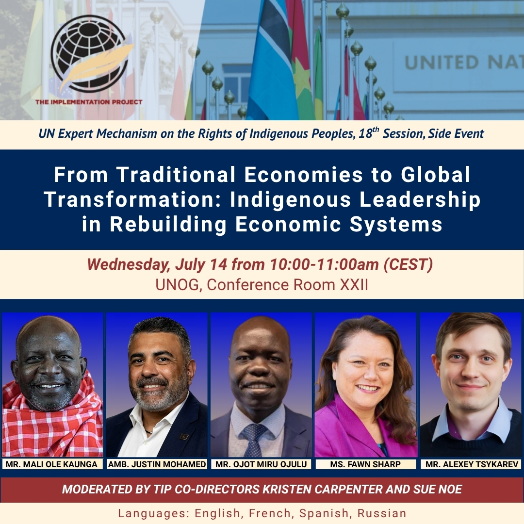 The Implementation Project – Achieving the Aims of the UN Declaration ...