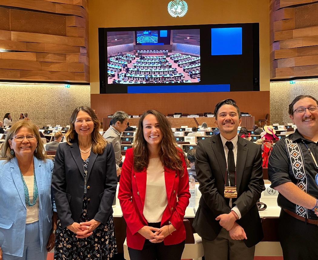 Advocating for the Declaration and Indigenous Peoples’ Traditional ...